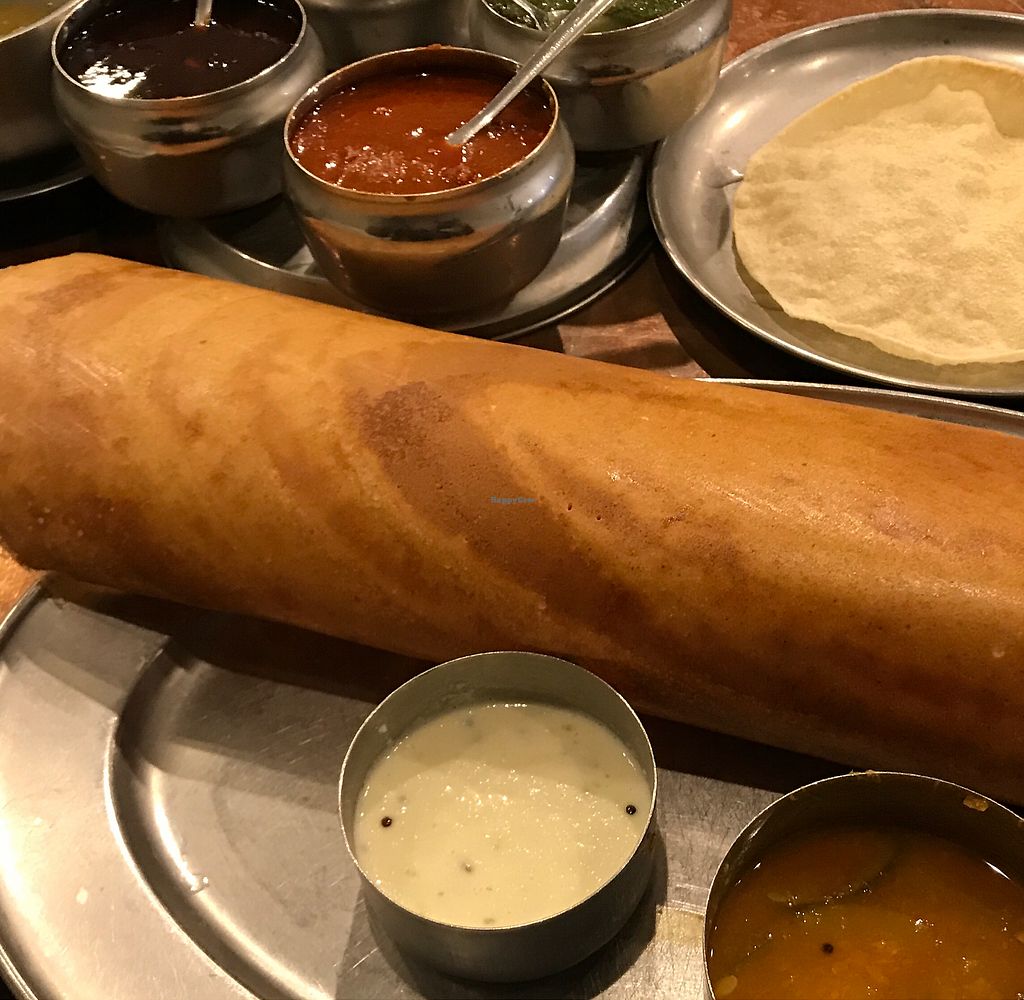 Dosa Delight - Jackson Heights New York Restaurant - HappyCow