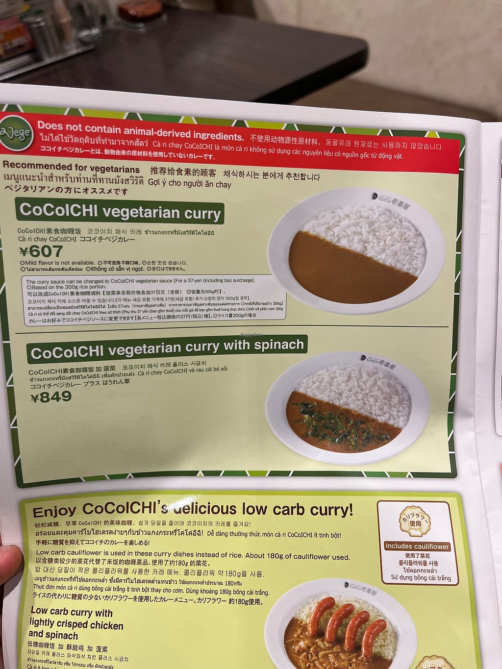 CoCo Ichibanya - Naka - Nagoya Restaurant - HappyCow