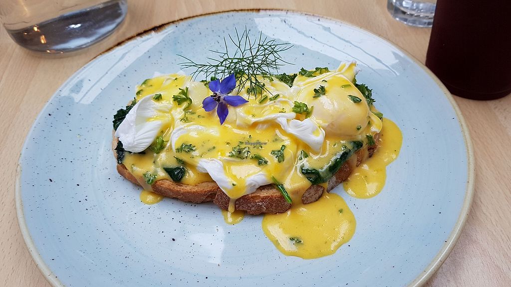 Cafe Nutshell - New Ross Restaurant - HappyCow