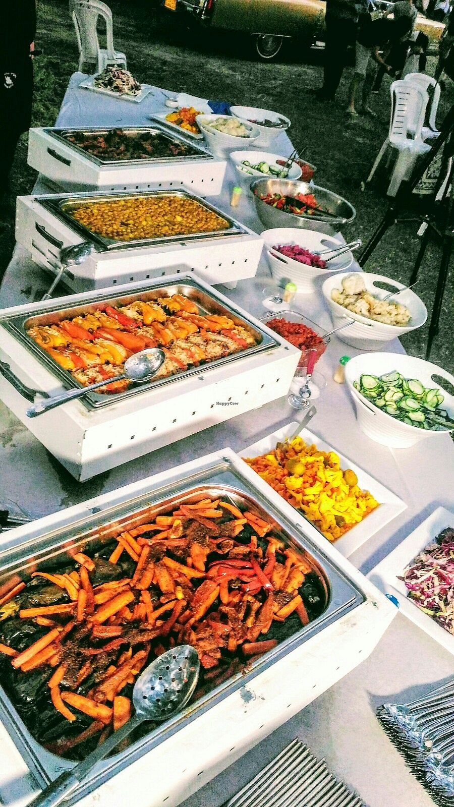 CLOSED: Robin Food - Haifa Restaurant - HappyCow