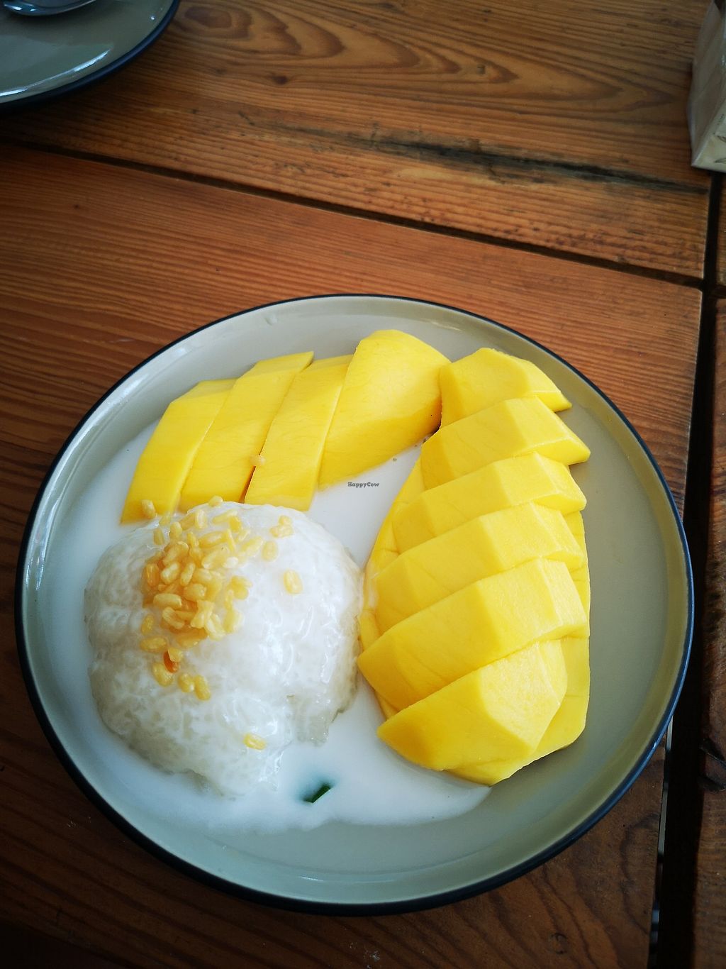 CLOSED: Happy Mango - Vang Vieng Restaurant - HappyCow