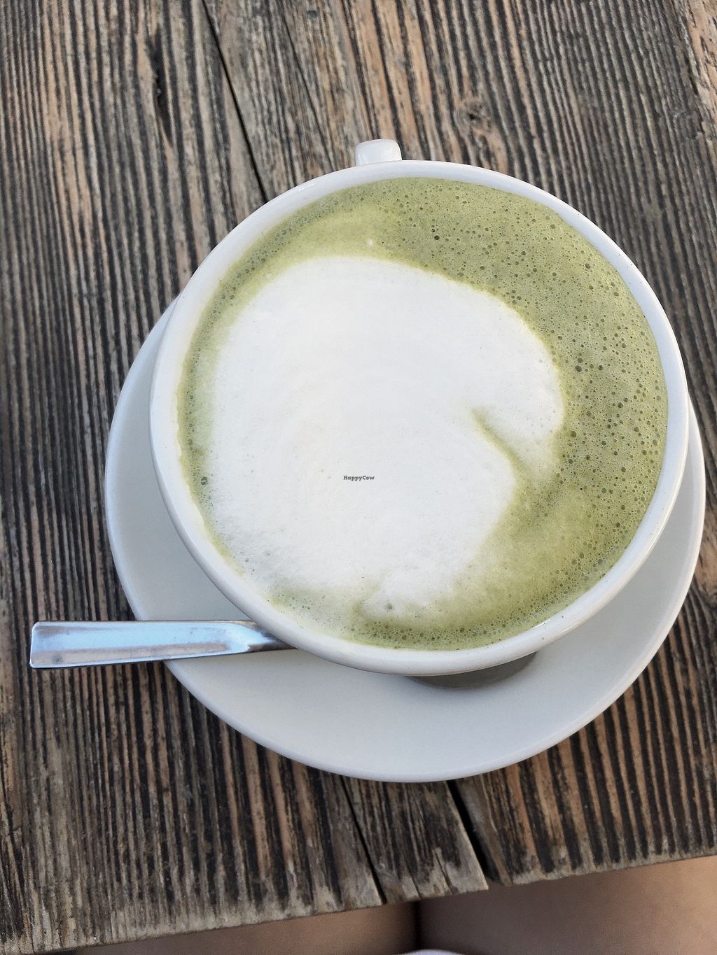 Saos - Verona | Review "Very kind people, vegan options " by Migdal1971 ...