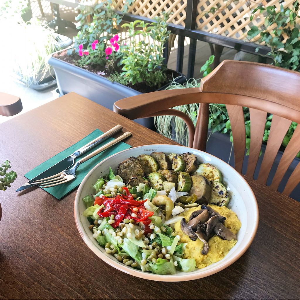 CLOSED: Baby Elephant - Istanbul Restaurant - HappyCow