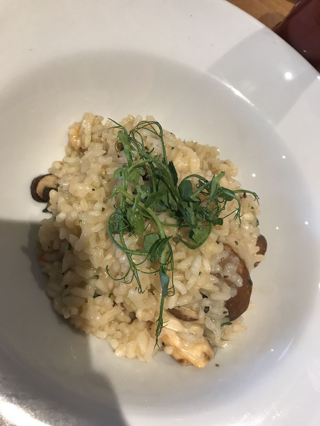 The Craster Arms - Chathill Restaurant - HappyCow