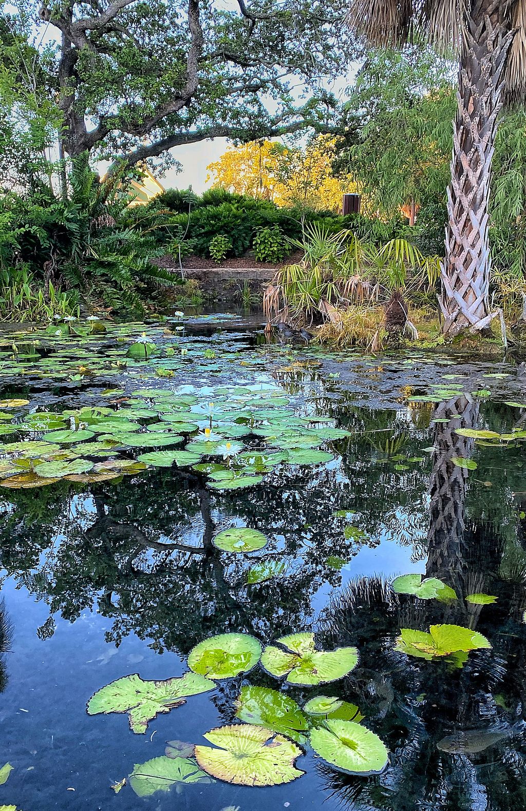 Ulele - Tampa Florida Restaurant - HappyCow