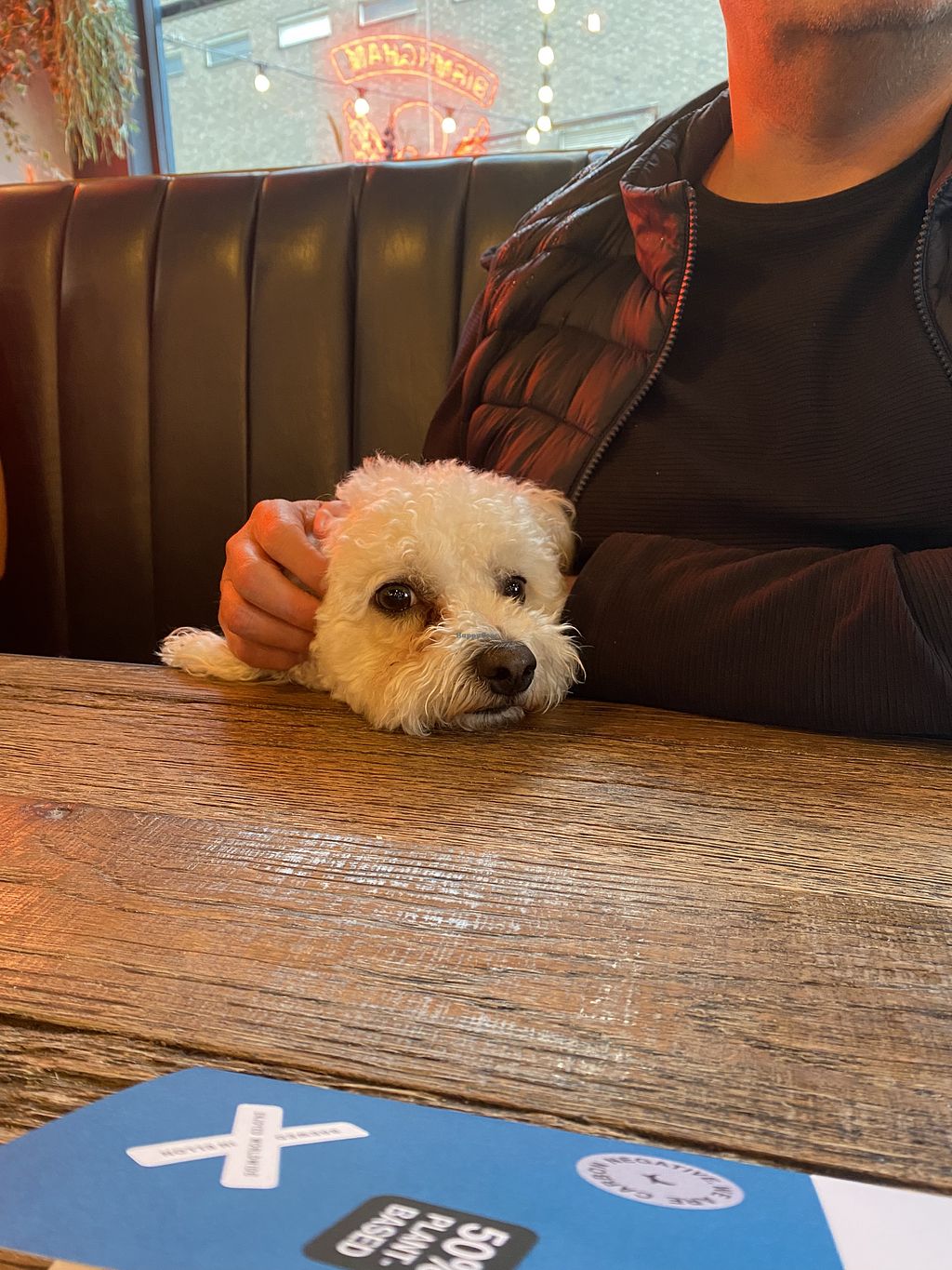 BrewDog - Birmingham Restaurant - HappyCow