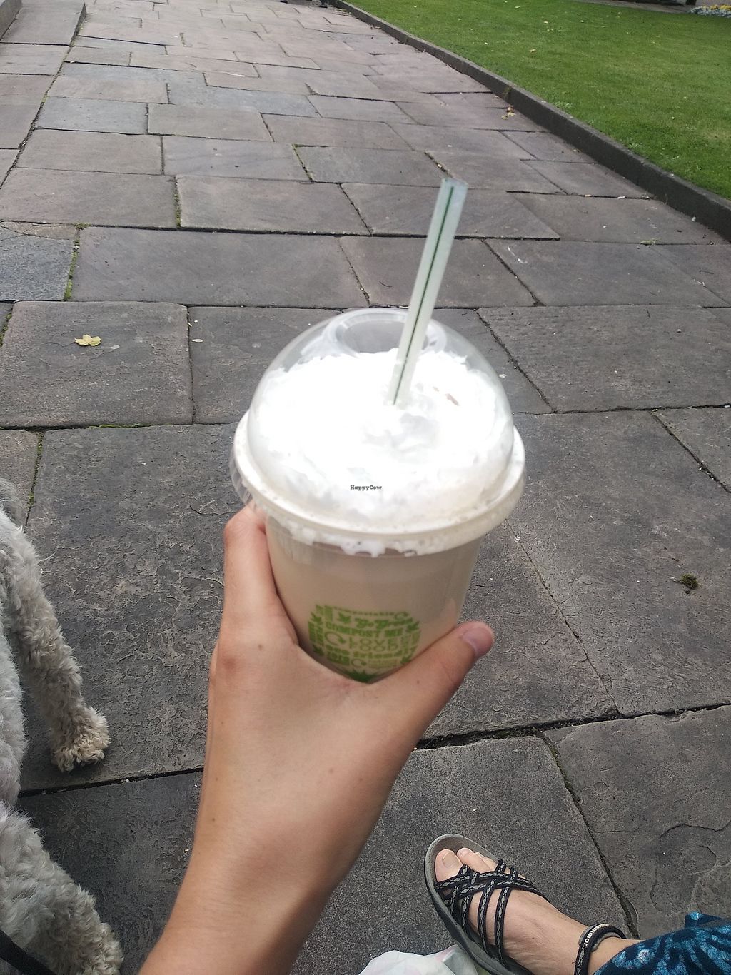 CLOSED: Freaky Shakes - Glossop Ice Cream - HappyCow