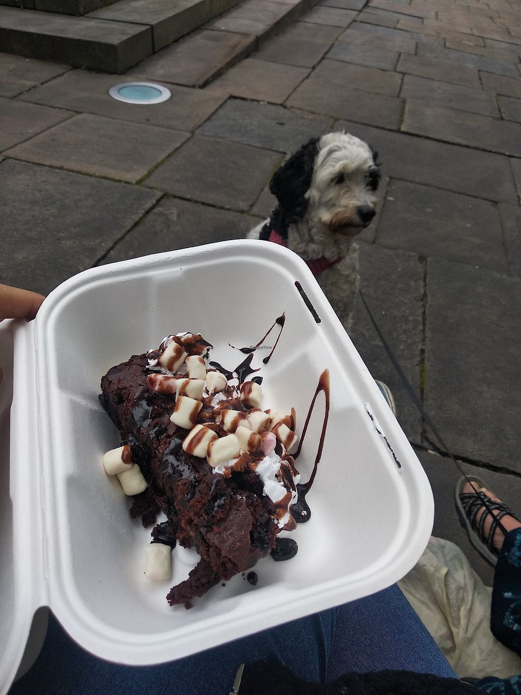 CLOSED: Freaky Shakes - Glossop Ice Cream - HappyCow