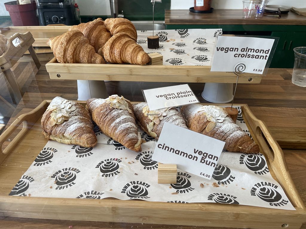 CLOSED: Twin Pines Coffee - Brighton Coffee & Tea - HappyCow