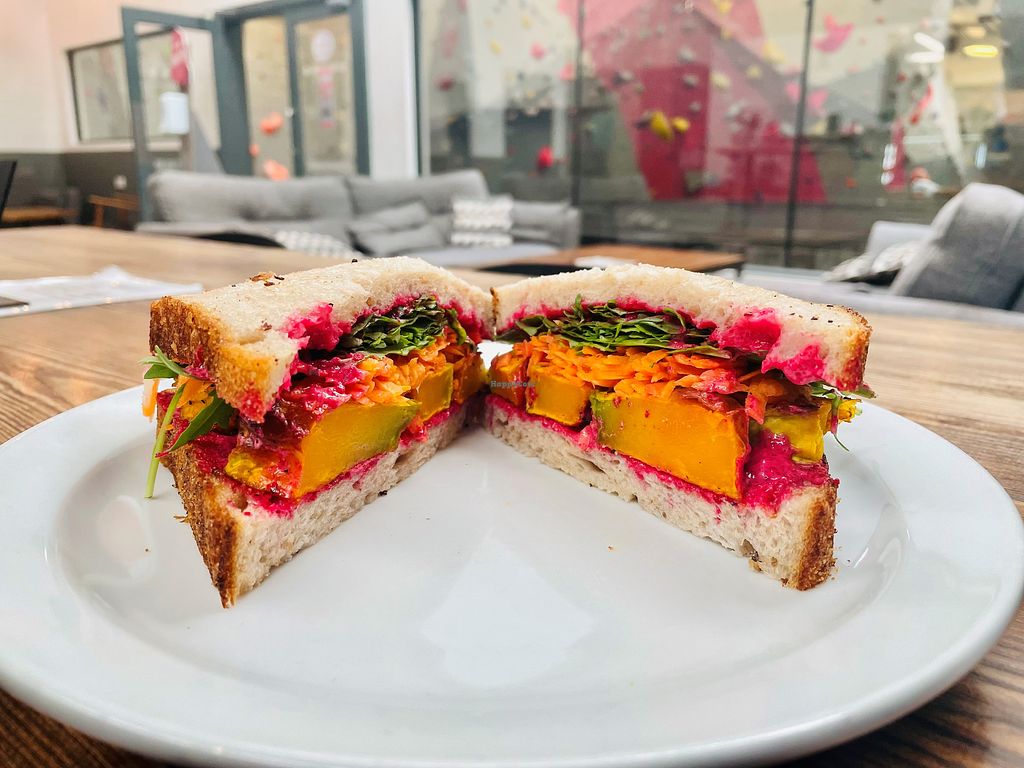 The Climbing Hangar - Plymouth Restaurant - HappyCow