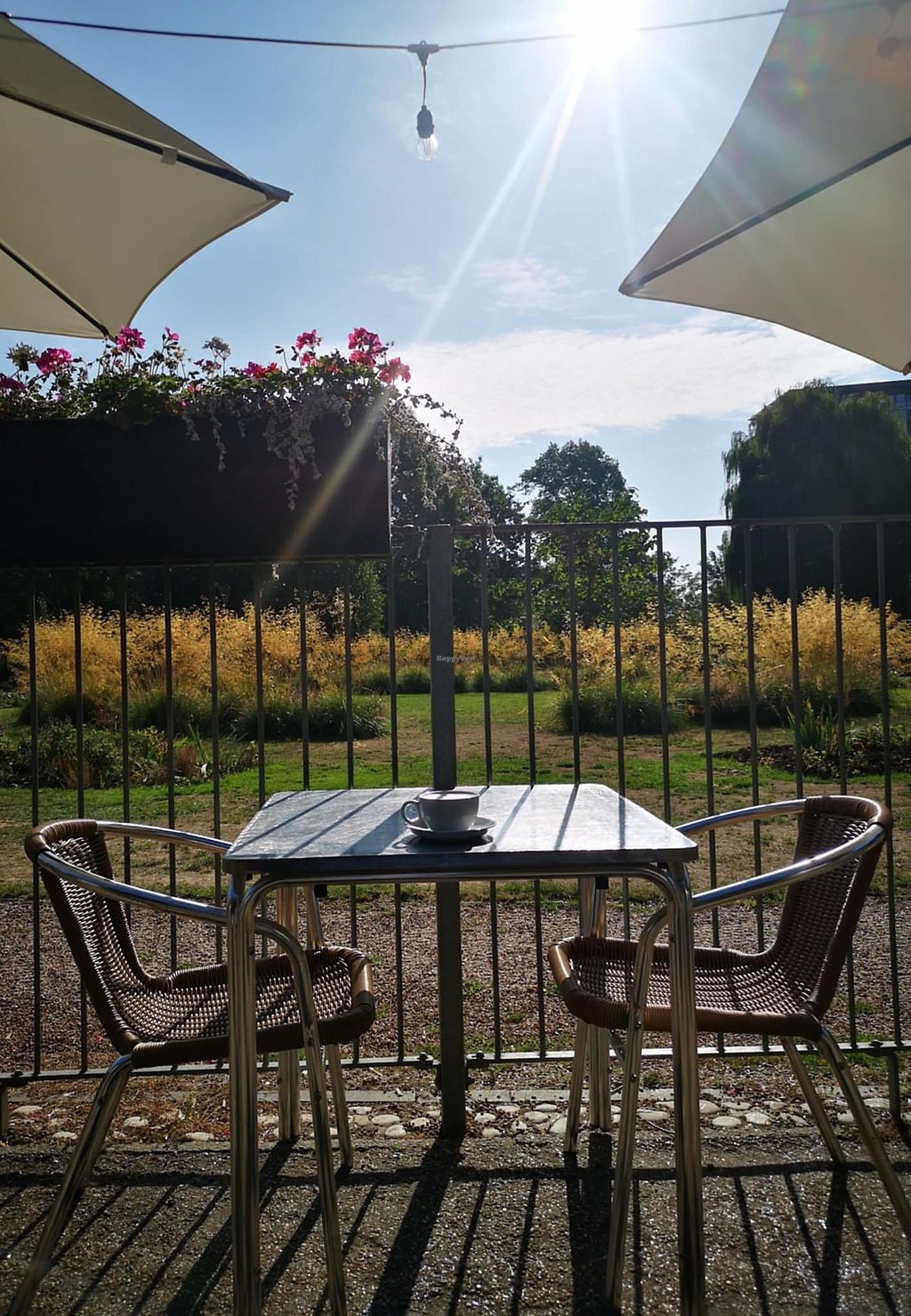 Central Park Cafe - Chelmsford Coffee & Tea - HappyCow