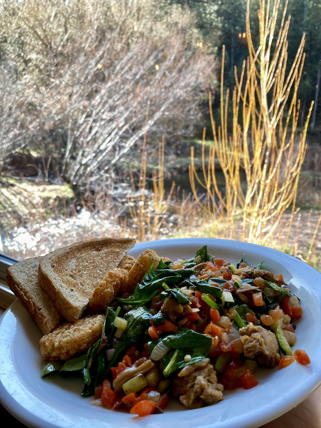 Blackbird Cafe and Tavern - Evergreen Colorado Restaurant - HappyCow