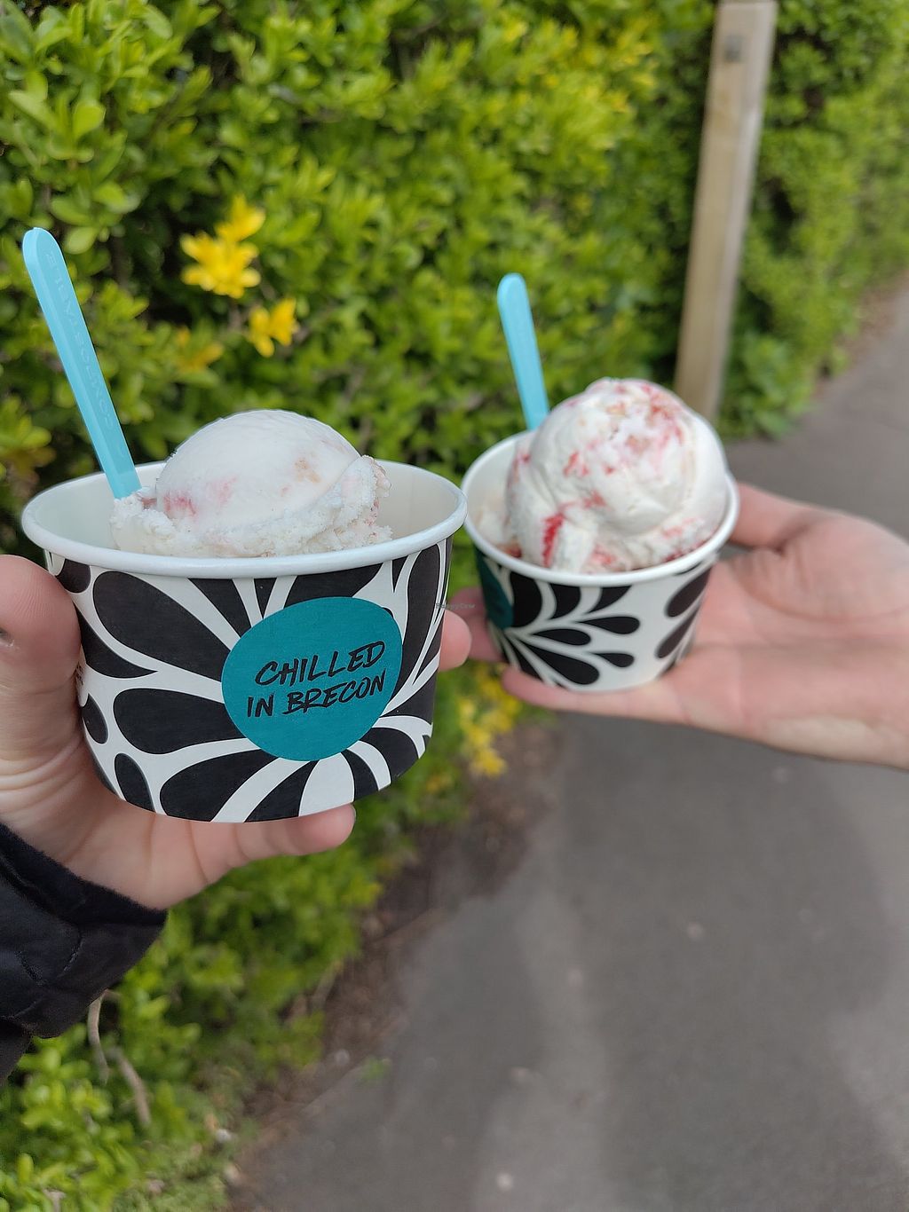 Llanfaes Dairy Ice Cream Bar - Brecon Ice Cream - HappyCow