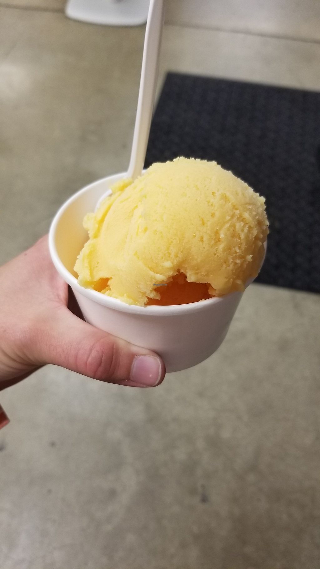 CLOSED: The Salted Lemon - Springfield Illinois Ice Cream - HappyCow