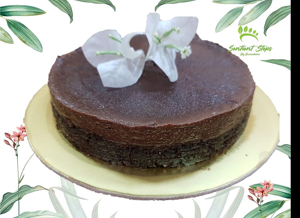 Sentient Steps - Navi Mumbai Delivery - HappyCow