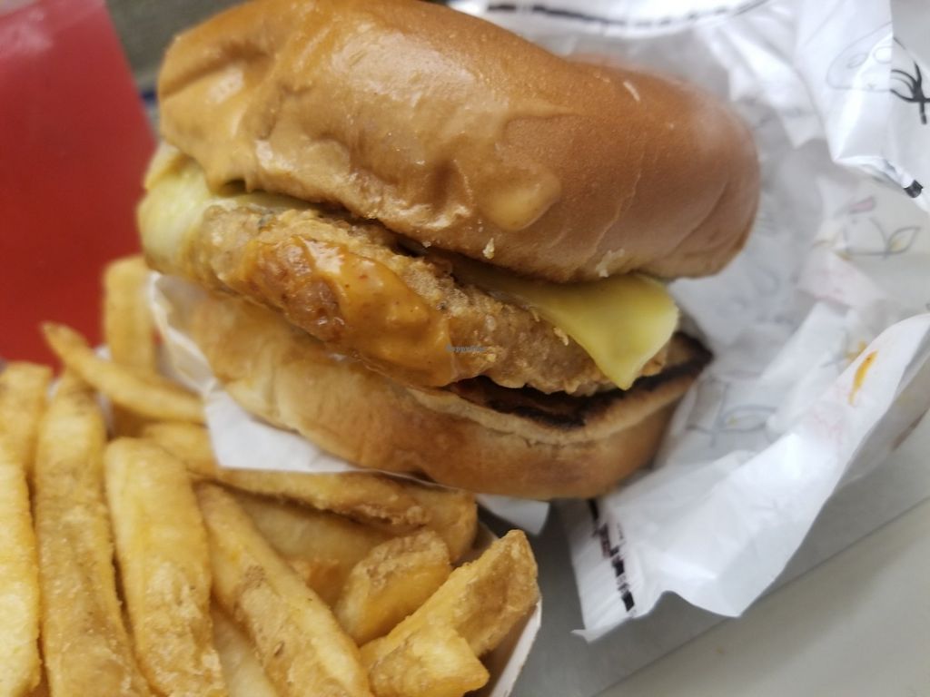 CLOSED: Project Pollo - Culebra - San Antonio Texas Restaurant - HappyCow