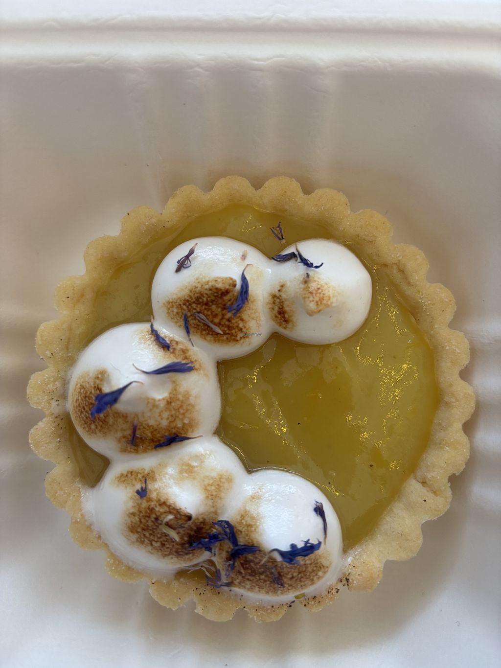 The Female Glaze - North London | Review "Super delicious cakes and ...