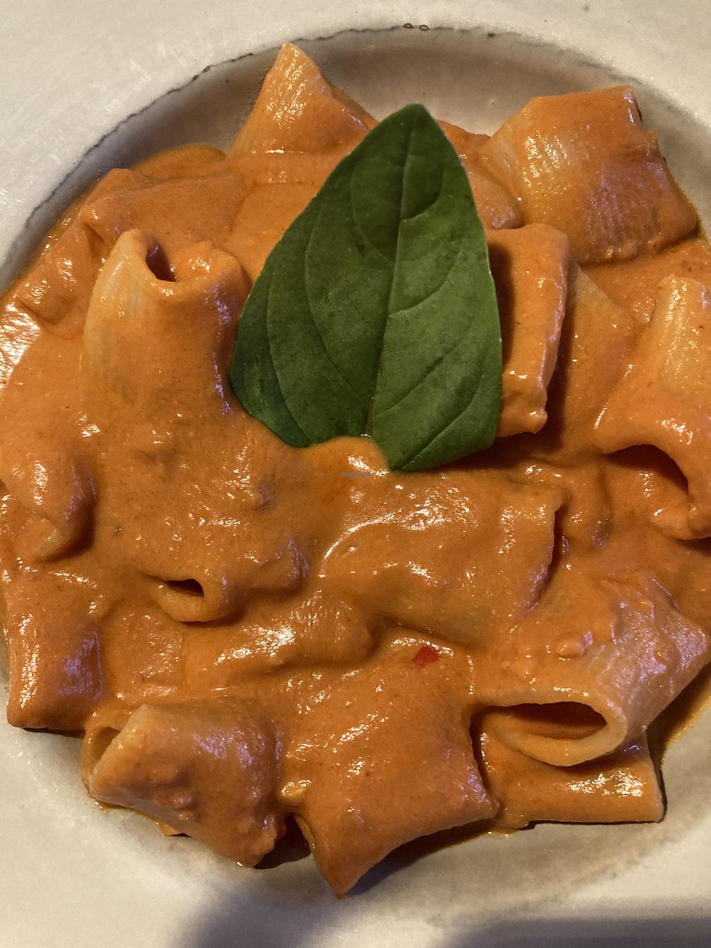 Bootleg Italian - temporarily closed - Paddington New South Wales ...