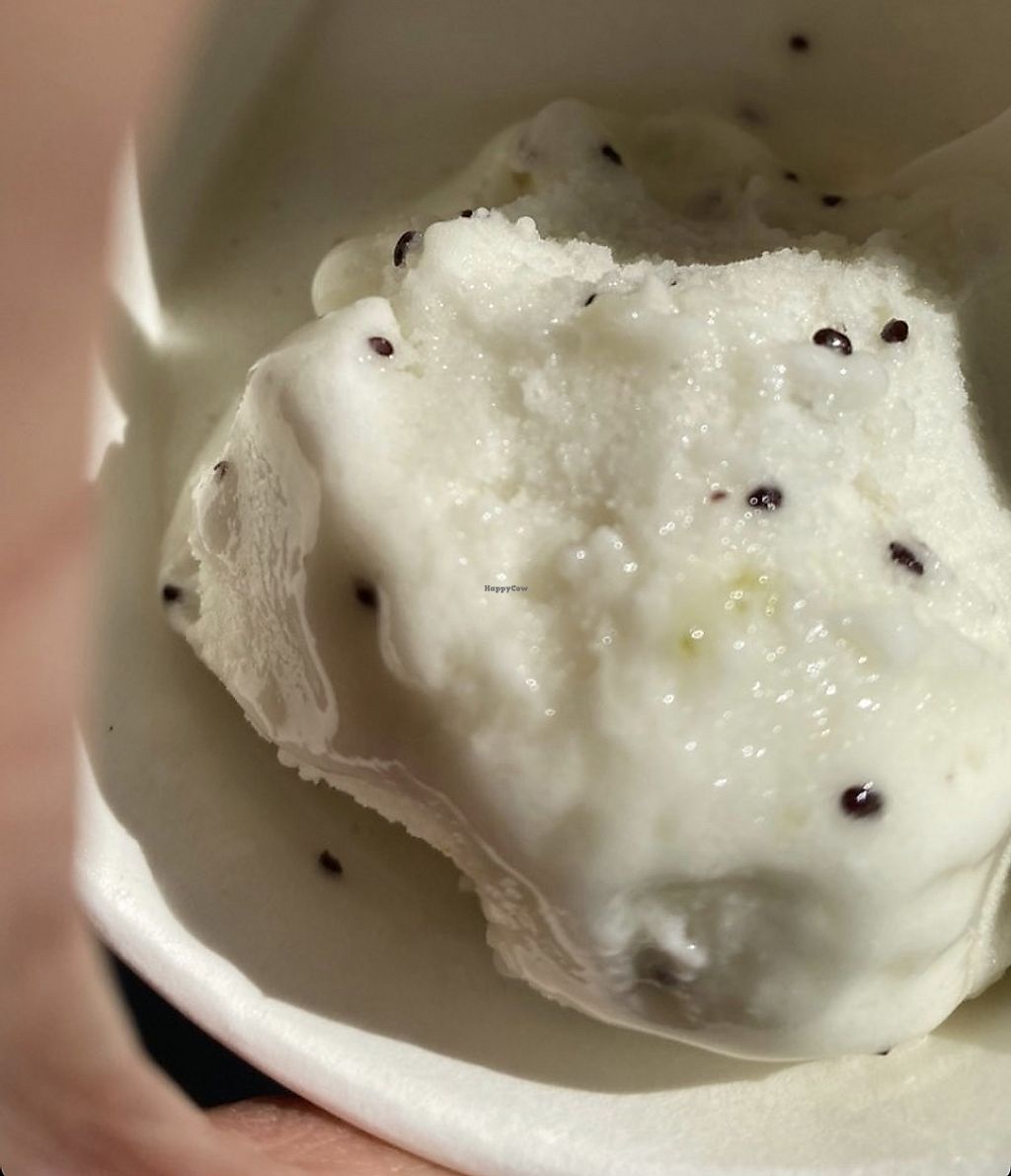 2 Chill Gelato - Squamish British Columbia Ice Cream - HappyCow