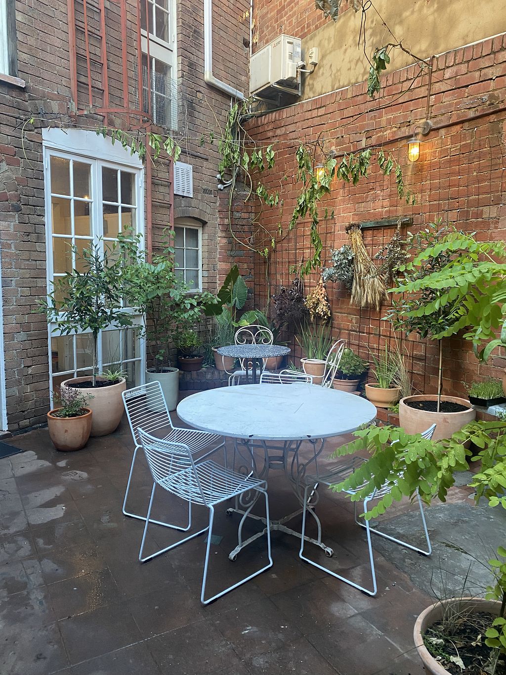 Patsy's - Melbourne Victoria Restaurant - HappyCow