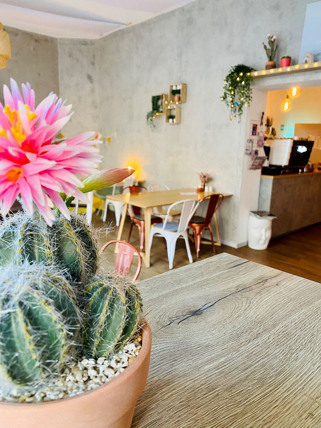 CLOSED: The Good Stuff Neuwied - Café & concept store - Neuwied Coffee ...