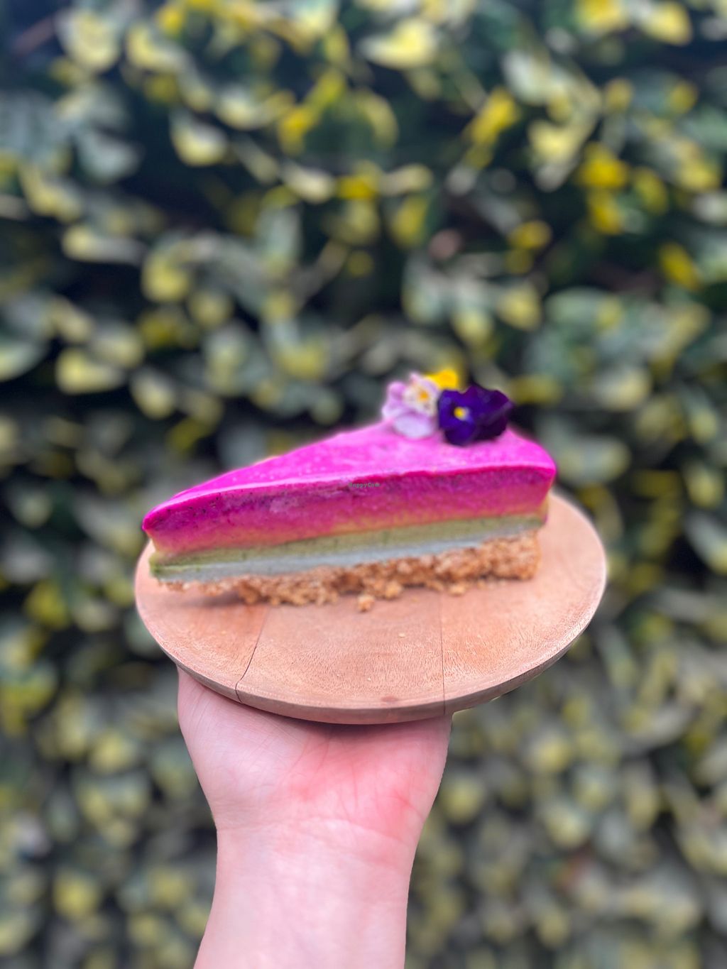 Wild Cafe - Marsden Restaurant - HappyCow