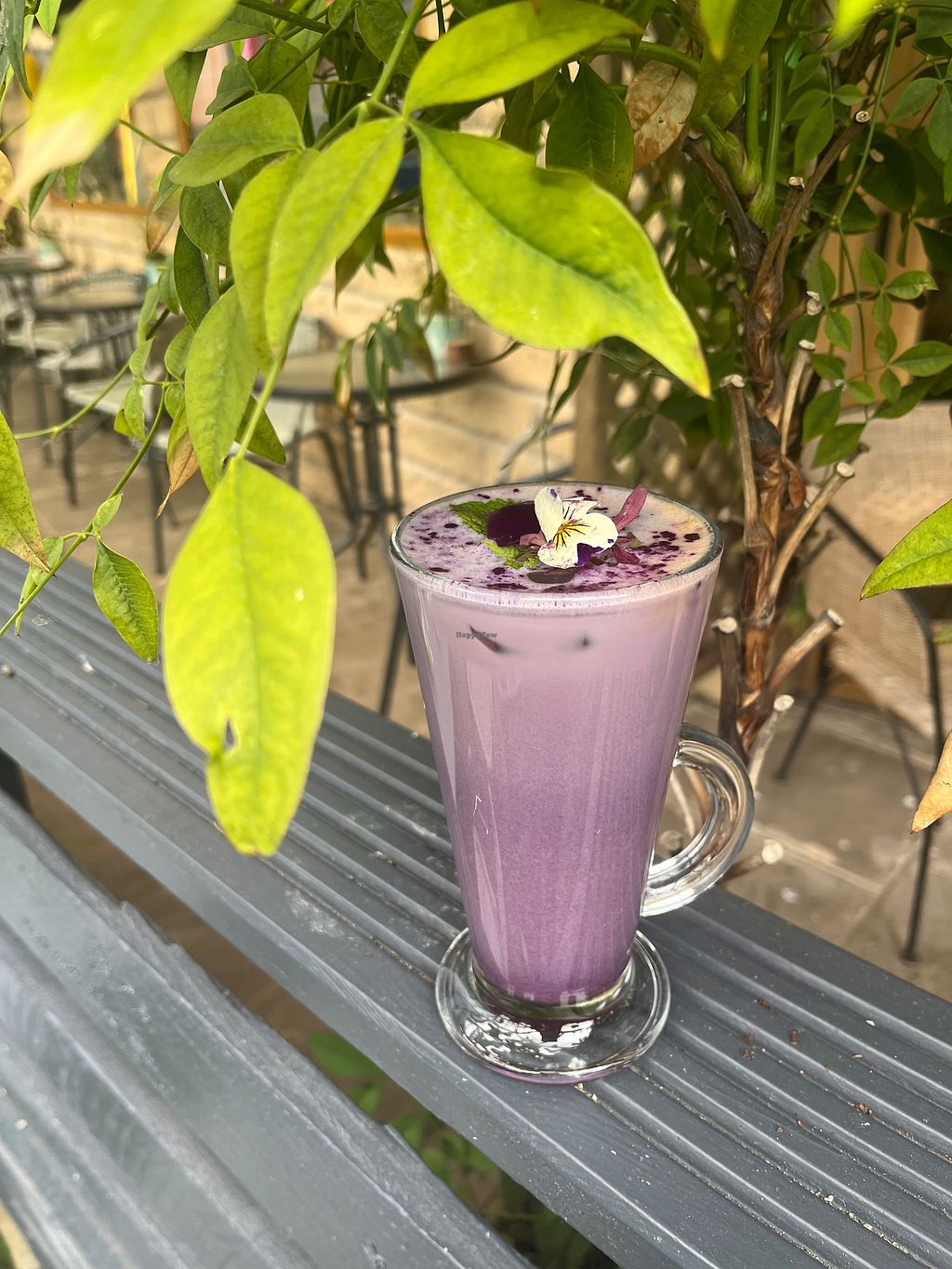 Wild Cafe - Marsden Restaurant - HappyCow