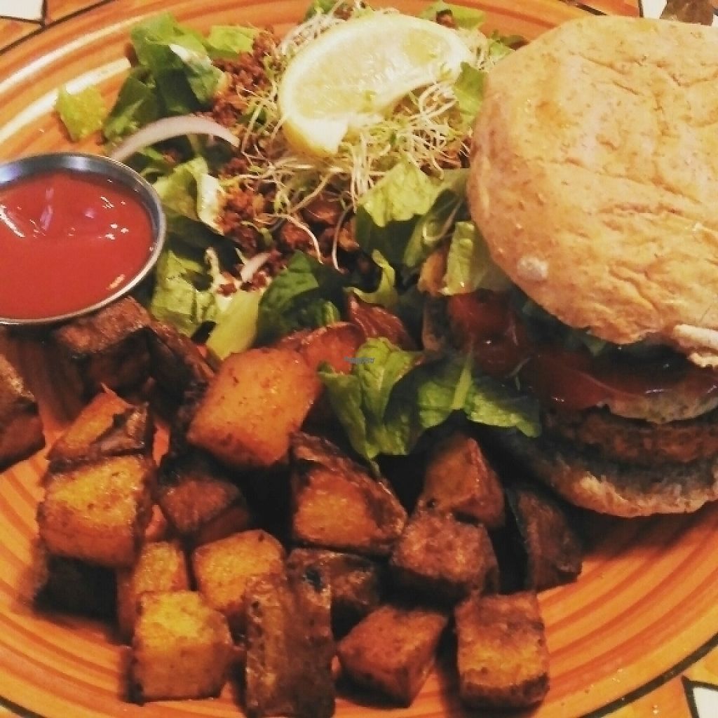 Calactus Cafe - Moncton New Brunswick Restaurant - HappyCow