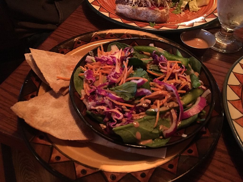 Calactus Cafe - Moncton New Brunswick Restaurant - HappyCow