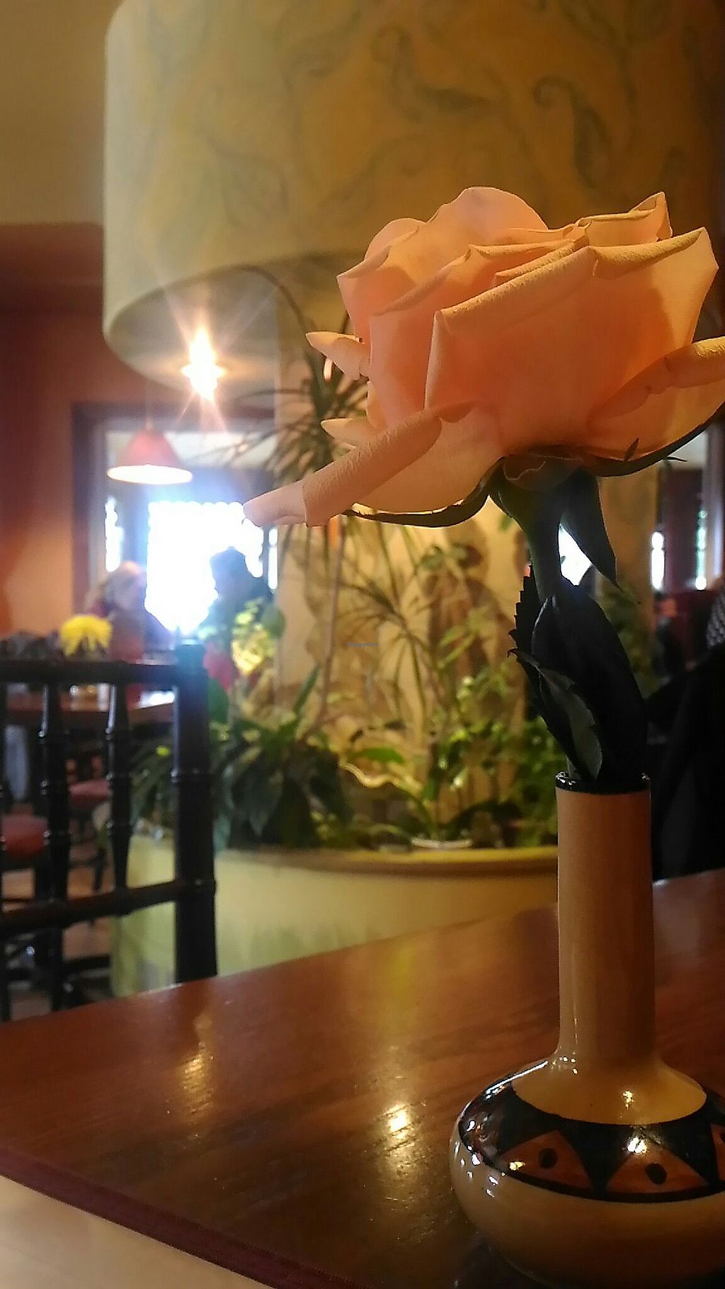 Calactus Cafe - Moncton New Brunswick Restaurant - HappyCow