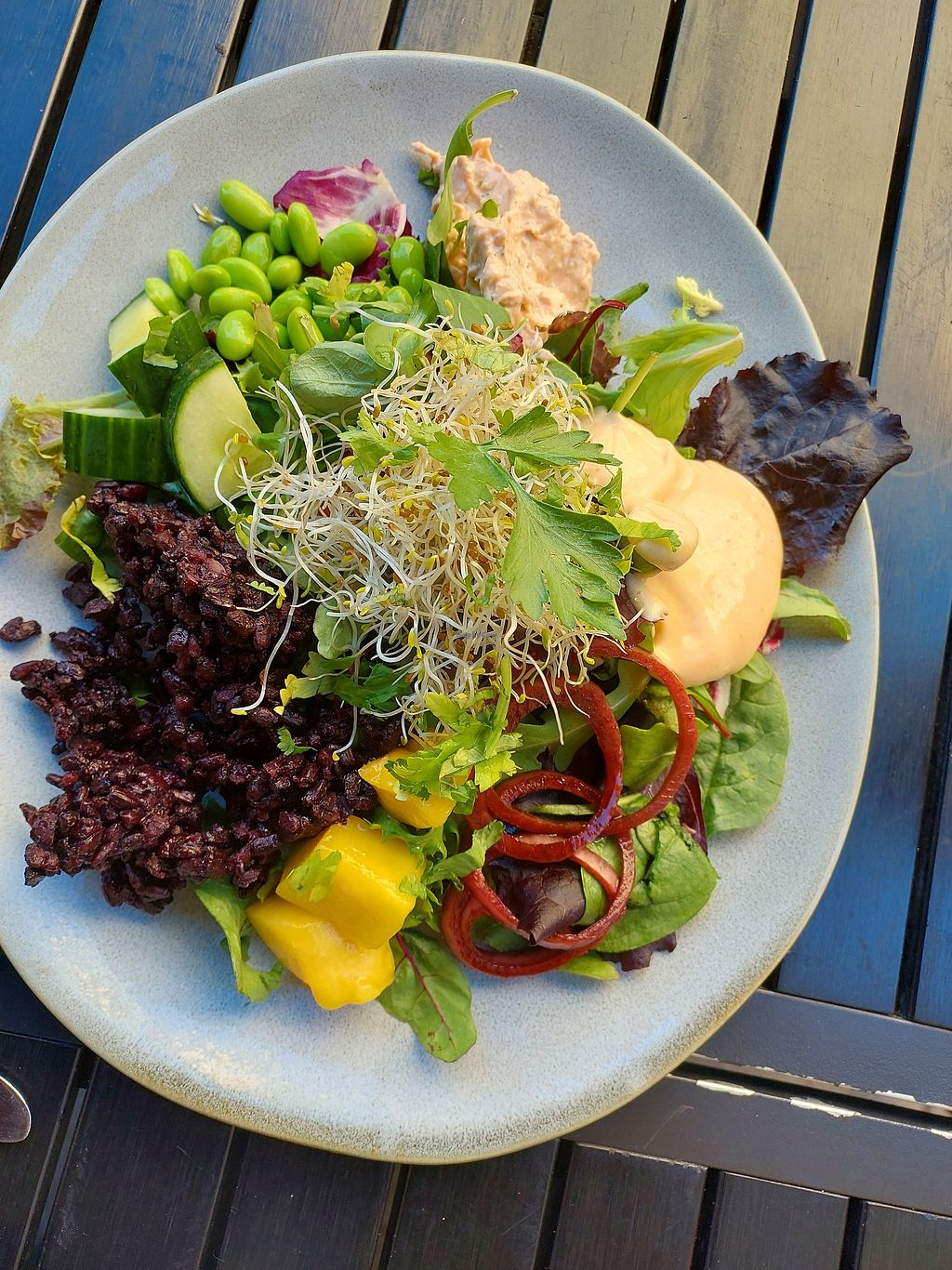 Verte - Stockholm Restaurant - HappyCow