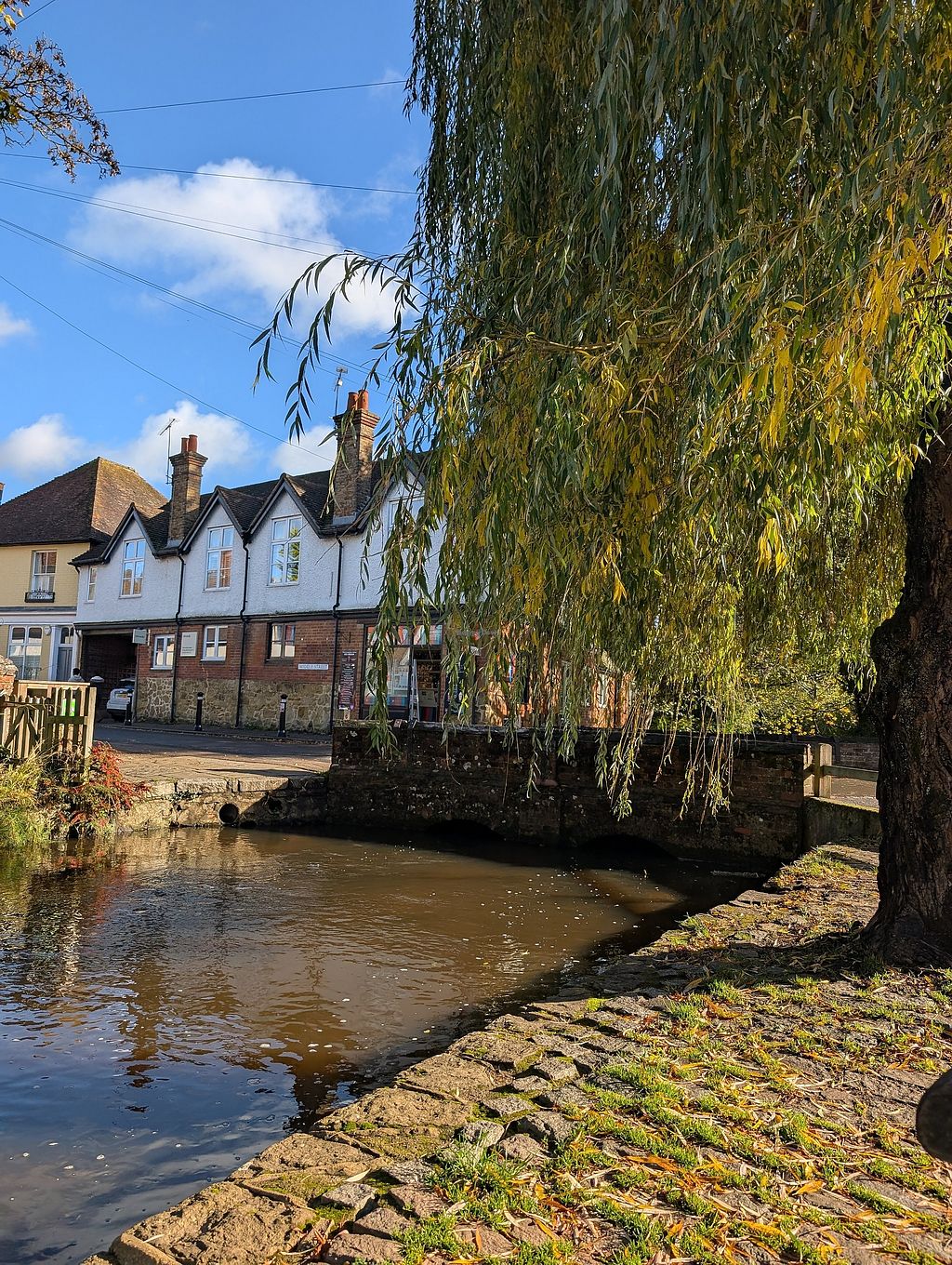 The Dabbling Duck - Guildford | Review "Wonderful spot!" by Veganmouse ...
