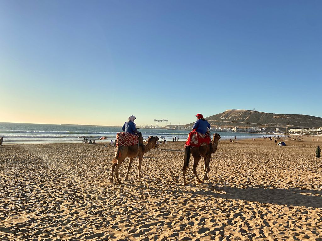Ô Playa - Agadir Restaurant - HappyCow