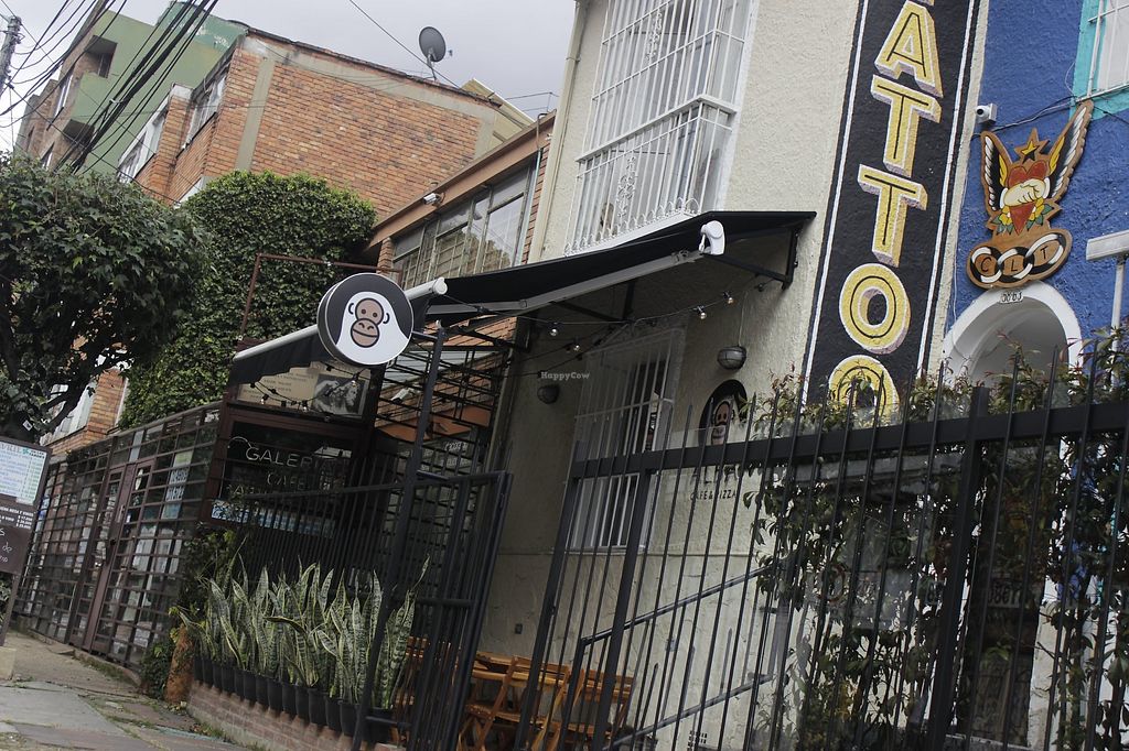 CLOSED: Alba Café y Pizza - Bogota Restaurant - HappyCow
