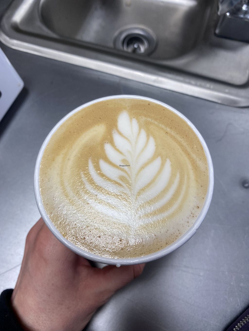 Steady Hand Cafe & Collective - Neptune City New Jersey Coffee & Tea ...