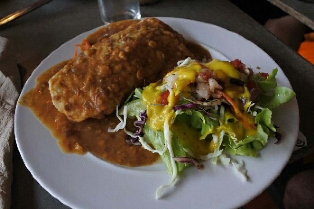 Cat House - Chiang Mai Restaurant - HappyCow