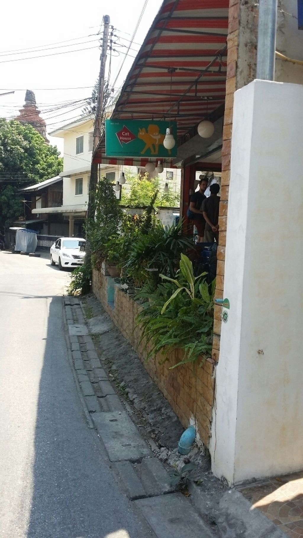 Cat House - Chiang Mai Restaurant - HappyCow