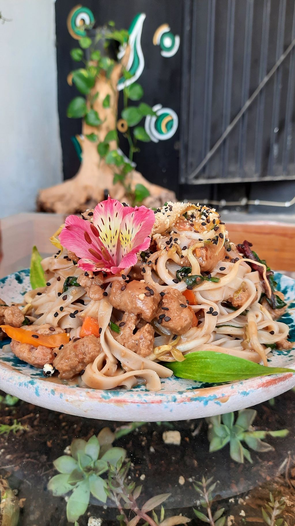 CLOSED: Malayah Cholula - San Andres Cholula Restaurant - HappyCow