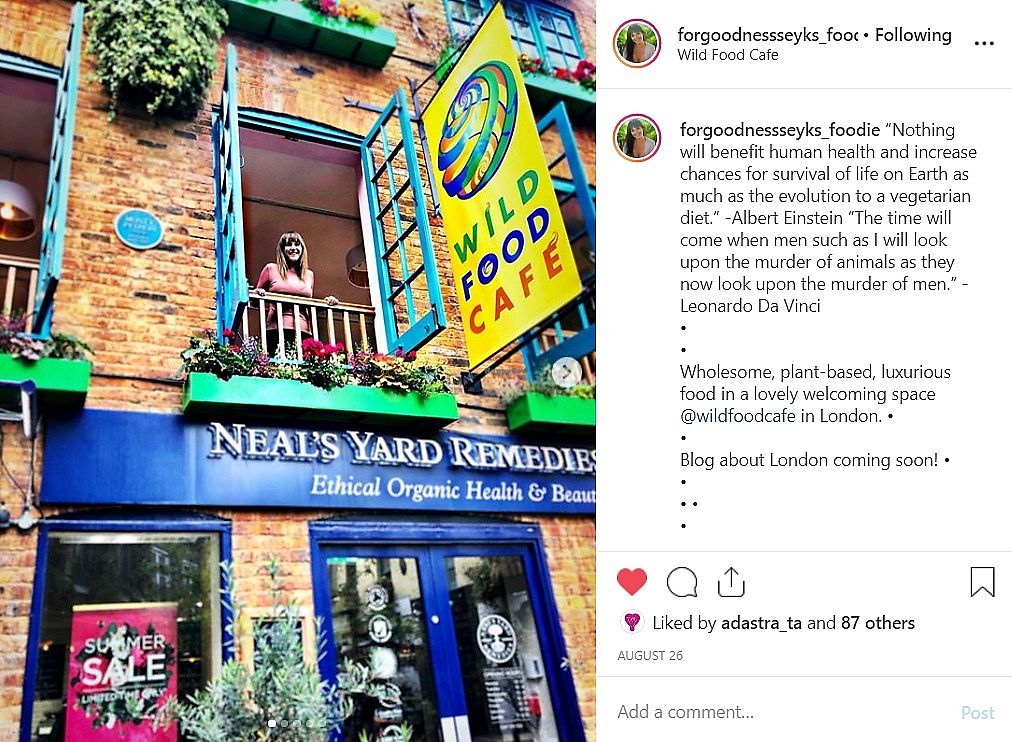 Wild Food Cafe - London Restaurant - HappyCow