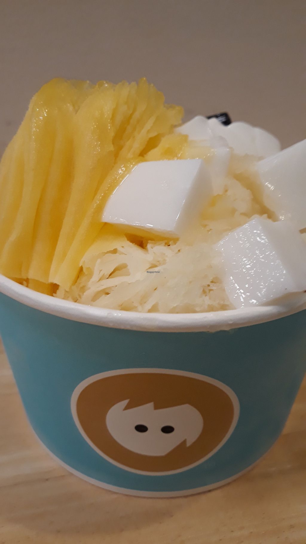 Iceskimo - San Diego | Review "Fantastic "SNOW"" by nora_la_diseñadora ...