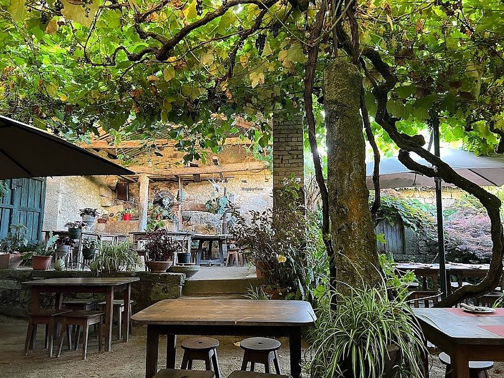 Taberna O Lagar en Eiras - O Rosal Restaurant - HappyCow