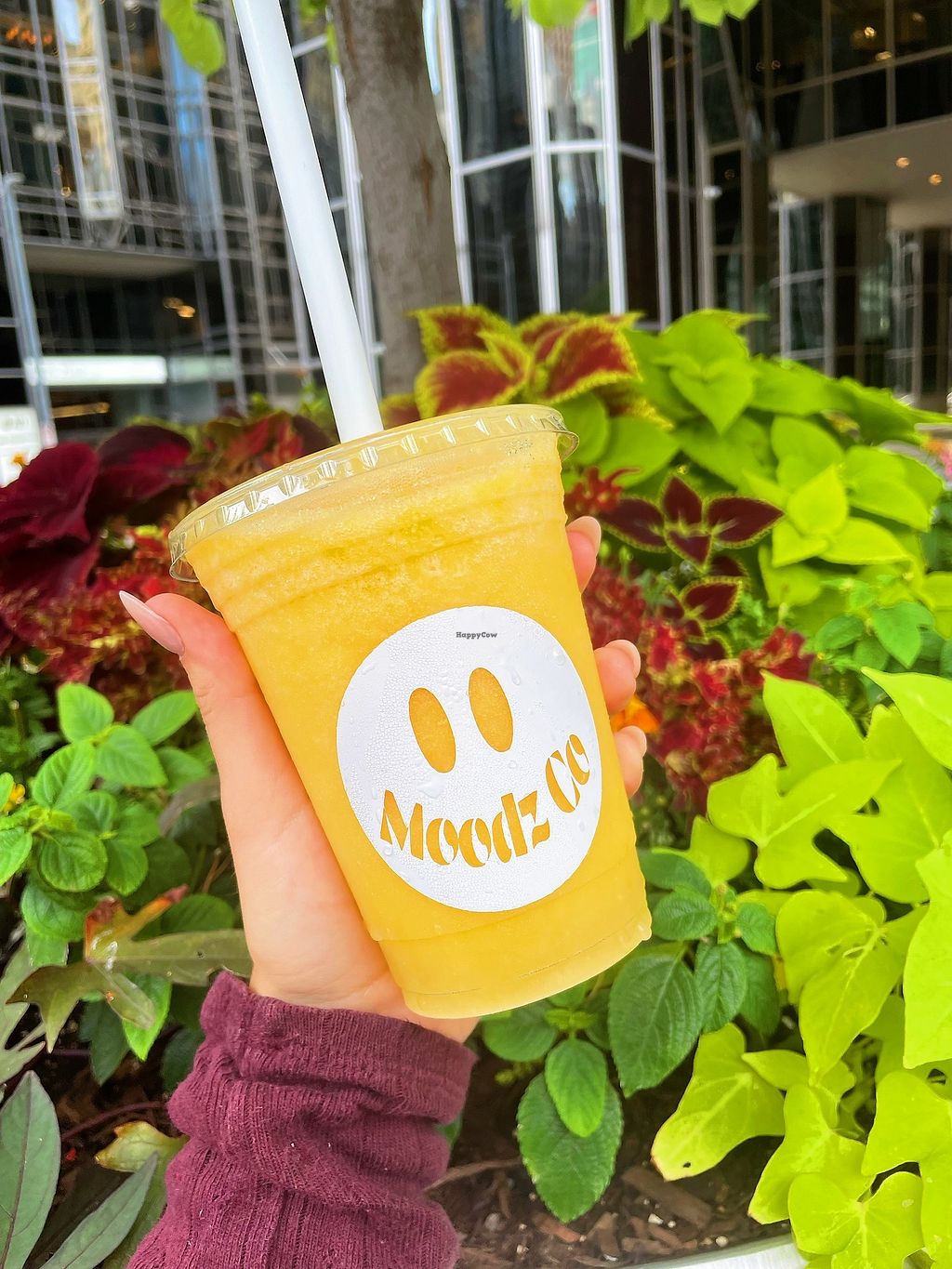 Moodz Co - Pittsburgh Pennsylvania Restaurant - HappyCow