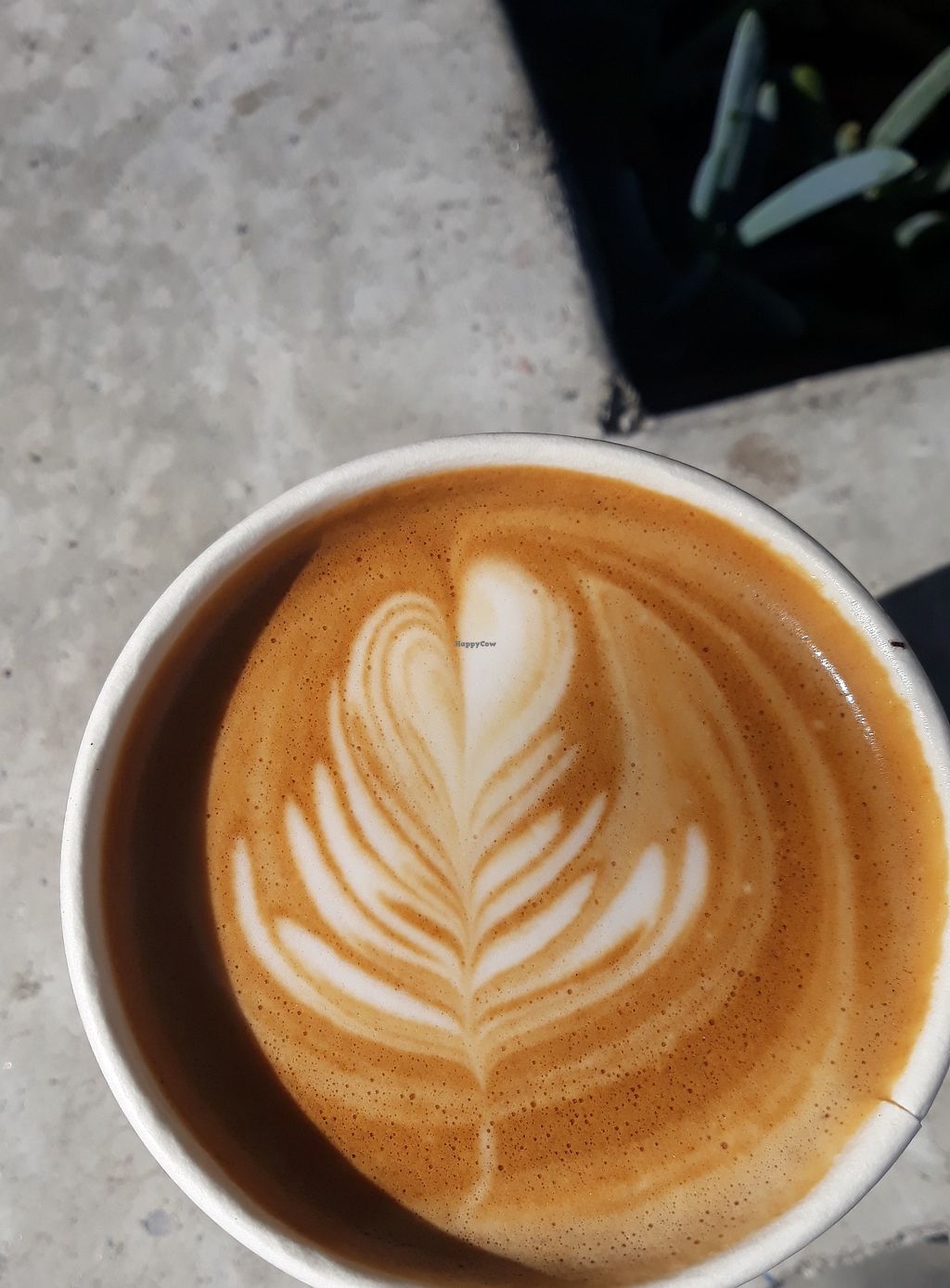 James Coffee Co - Banker's Hill - San Diego California Coffee & Tea ...