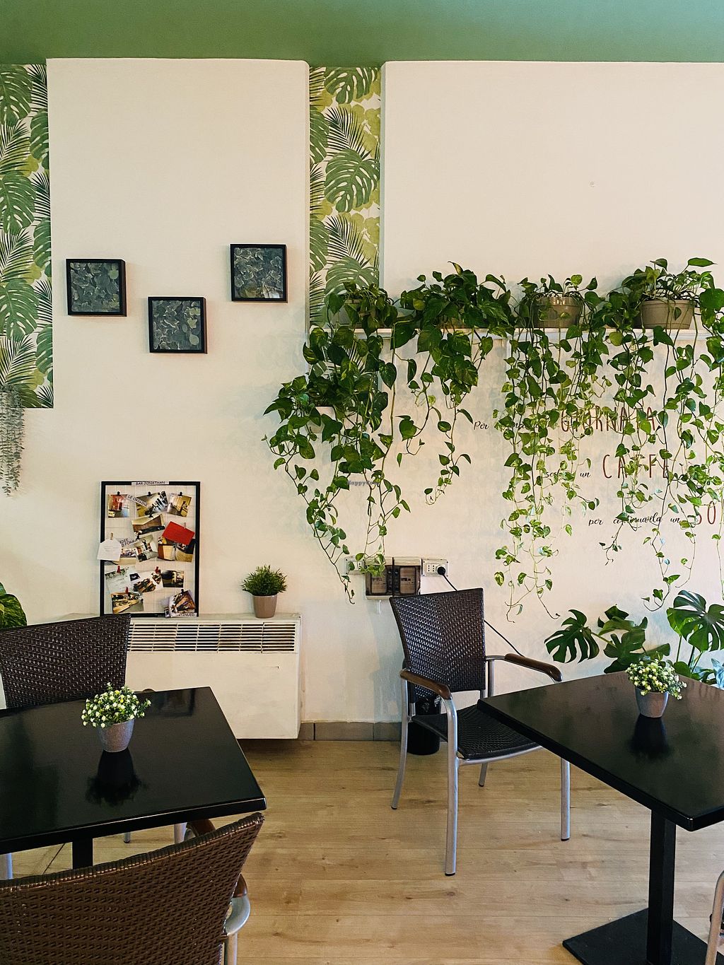 Bar Jonathan - Modena Coffee & Tea - HappyCow