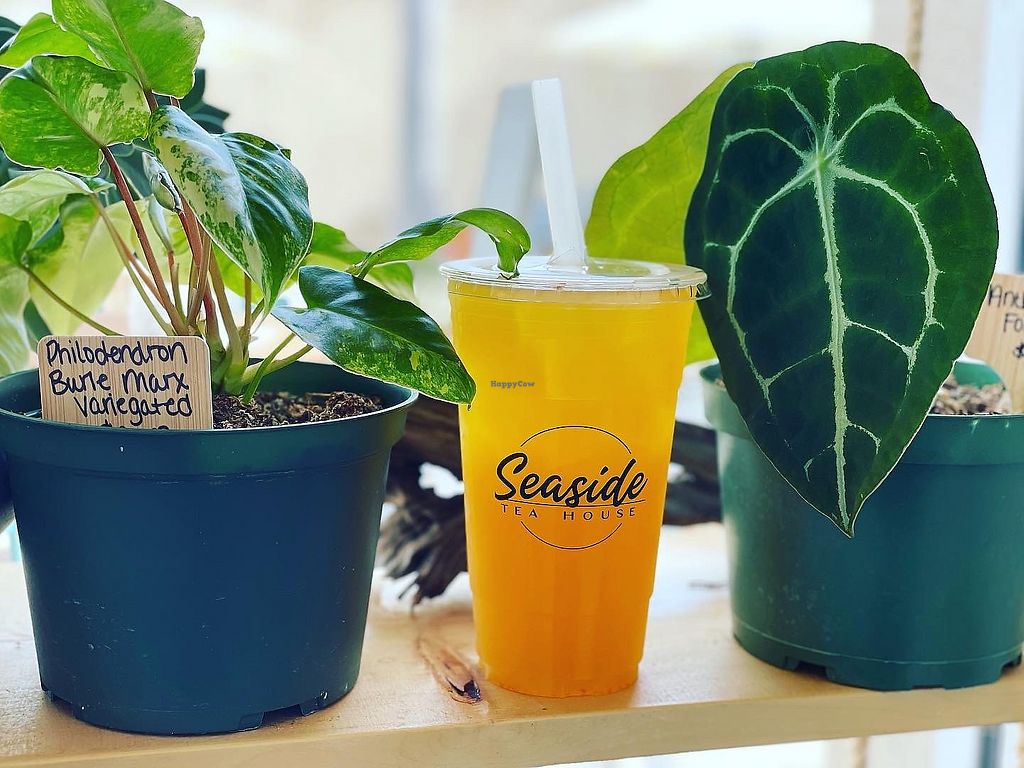 CLOSED: Seaside Tea House - Islamorada Florida Coffee & Tea - HappyCow