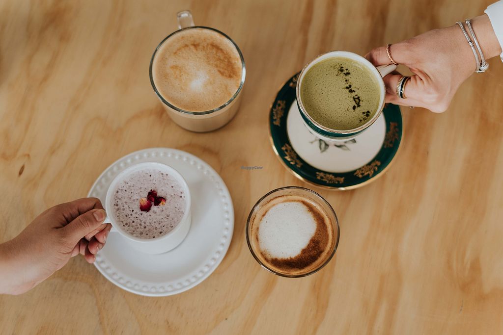 B12 Cafetería Vegana - Puebla Coffee & Tea - HappyCow