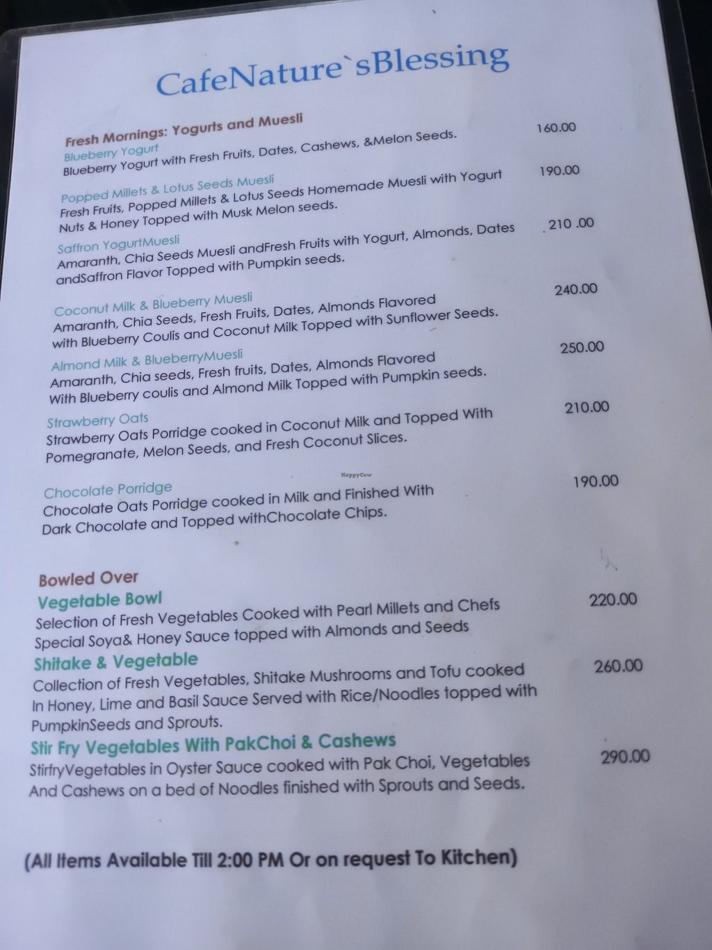 Cafe Nature's Blessing - Mysore Restaurant - HappyCow