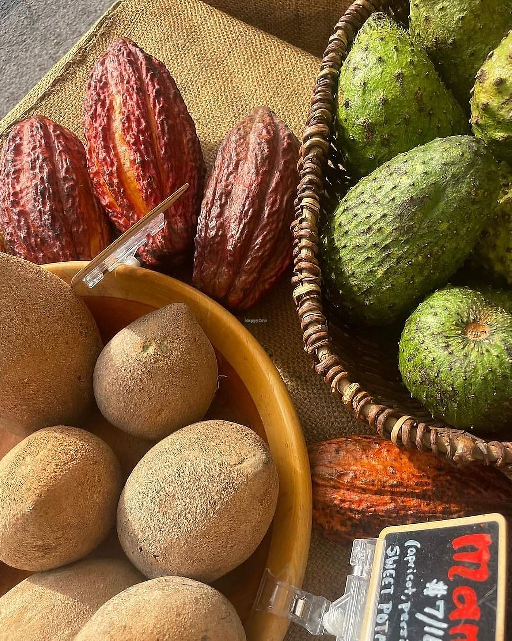 Florida Fruit Cooperative - Williams Park - St Pete Beach Florida ...