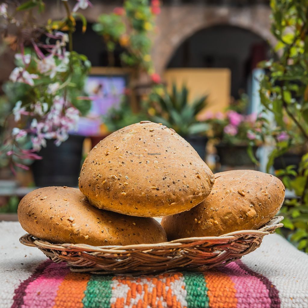 CLOSED: Panadería Saludable PanVIVO - Cusco Bakery - HappyCow