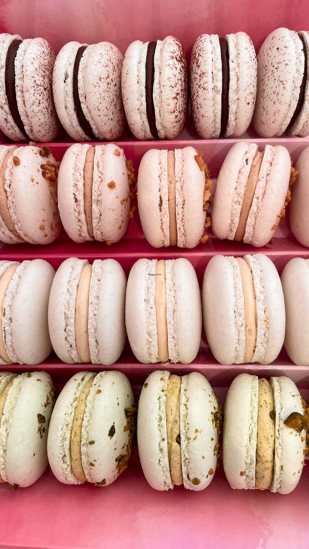 CLOSED: Les Macarons de Lorena - Brussels Bakery - HappyCow